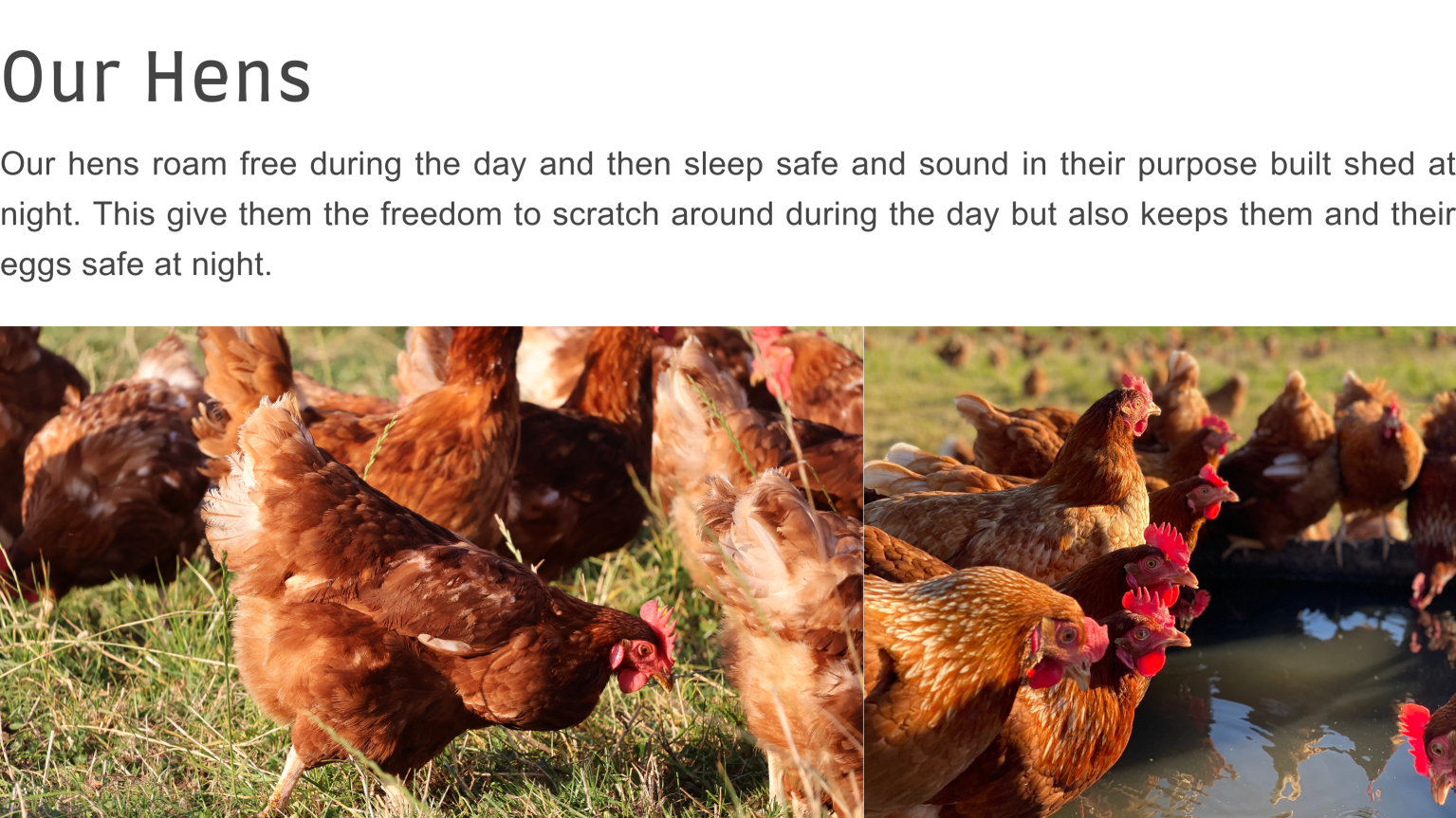 Our Story - Local Food NZ + Feilding Farm Shop